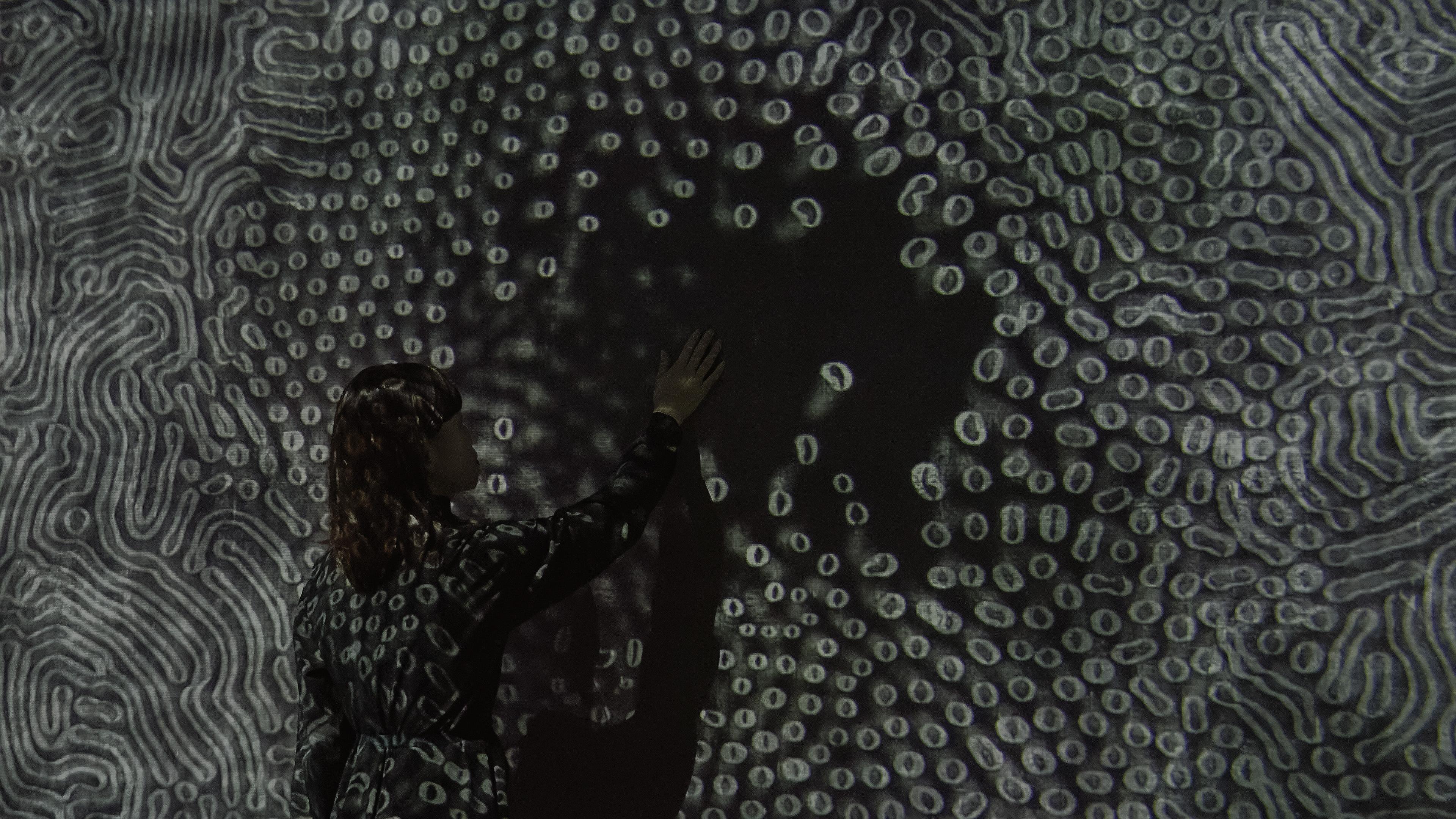 Continuous Existence Teamlab